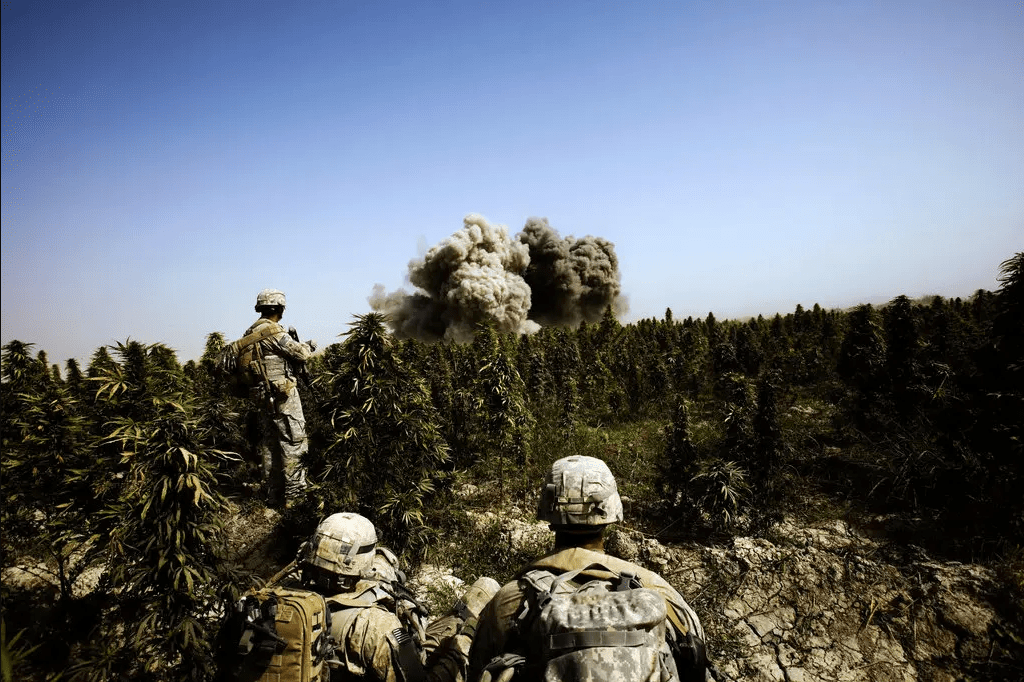 Operation Dragon Strike: A Detailed Look at the Kandahar Offensive of ...